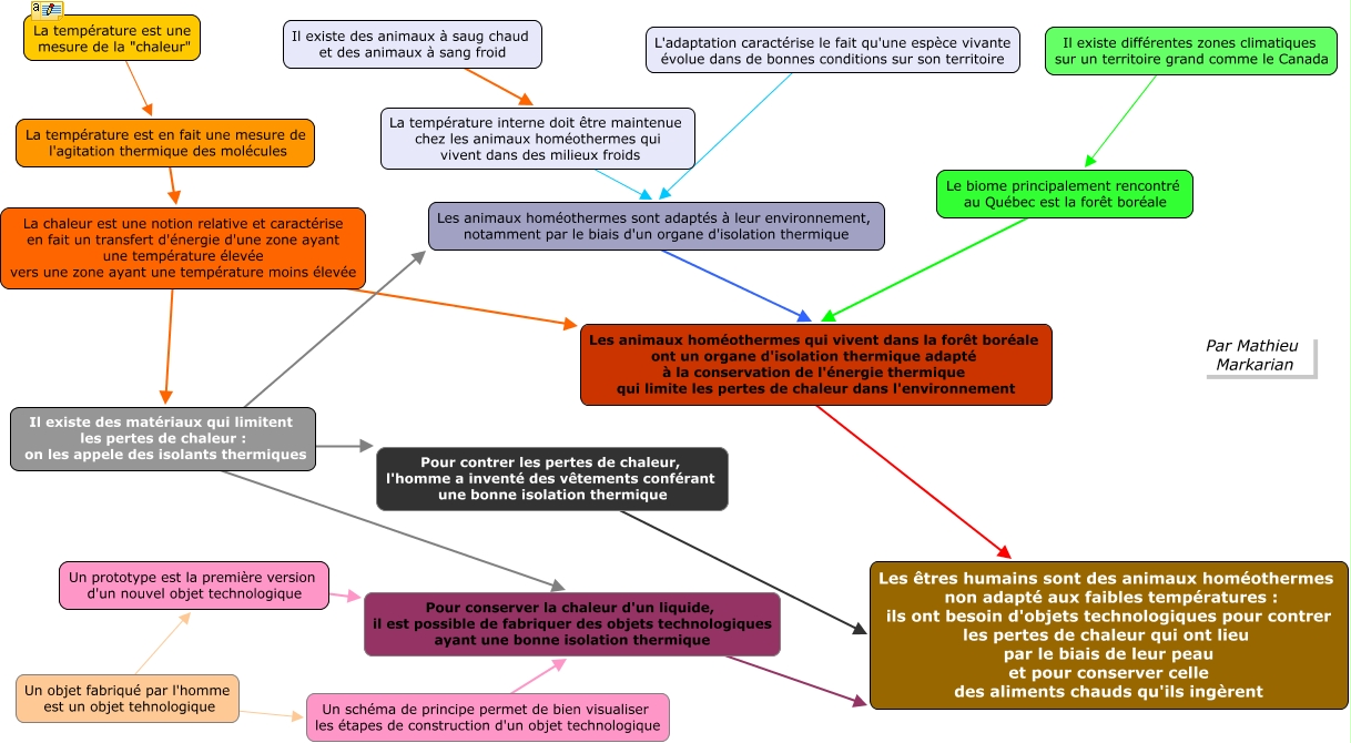 Trame - Des poils dans la soupe - Trame conceptuelle